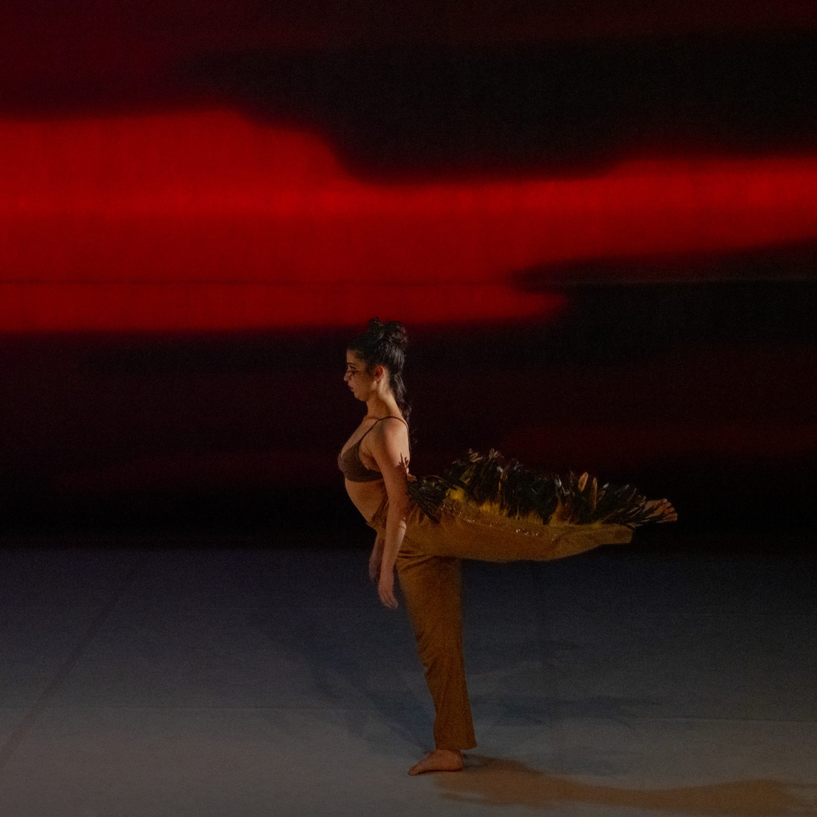 Lenio Kaklea - Les oiseaux – Montpellier Danse